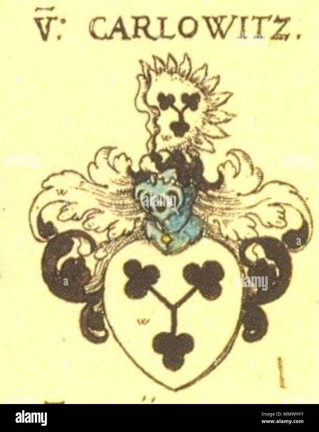 Carlowitz family hi-res stock photography and images - Alamy