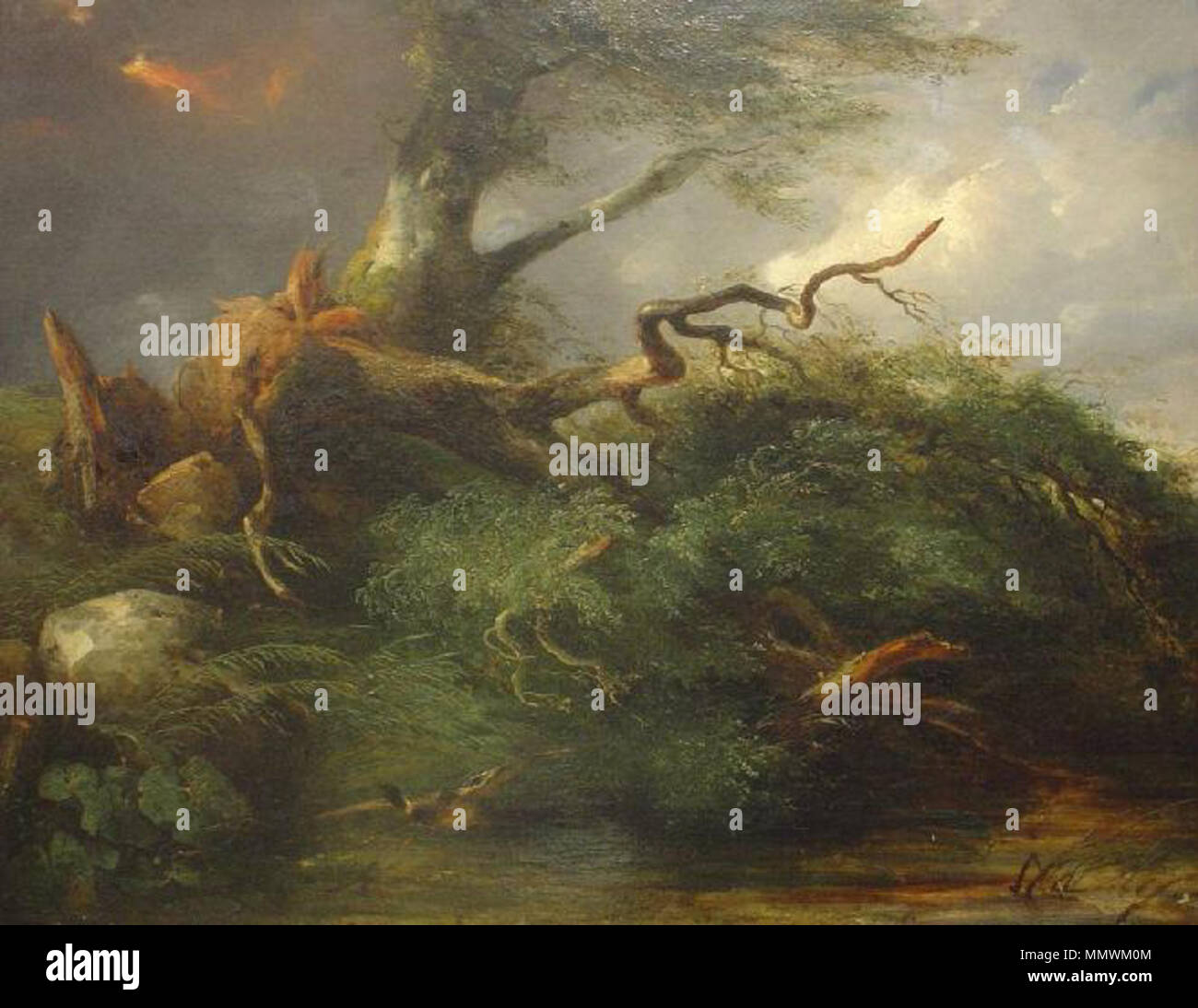 Le chene et le roseau hi-res stock photography and images - Alamy