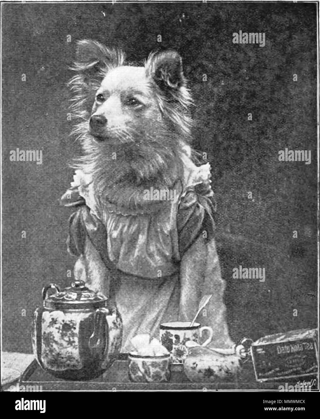 . English: 'Come Along, Tea-Time'. Dog in dress for the 1895 English ...