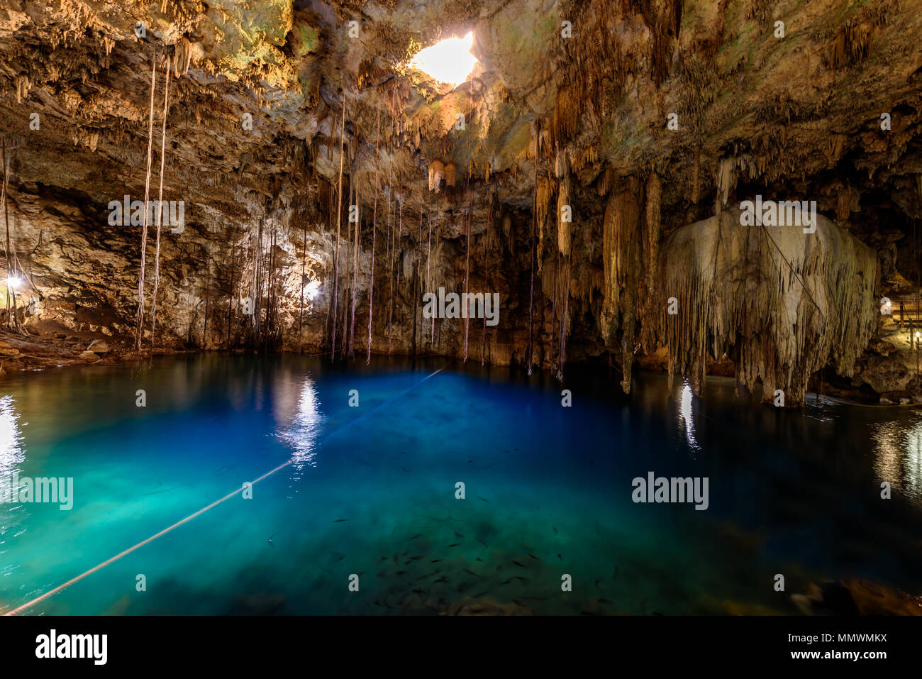 Cenotes dzitnup hi-res stock photography and images - Alamy