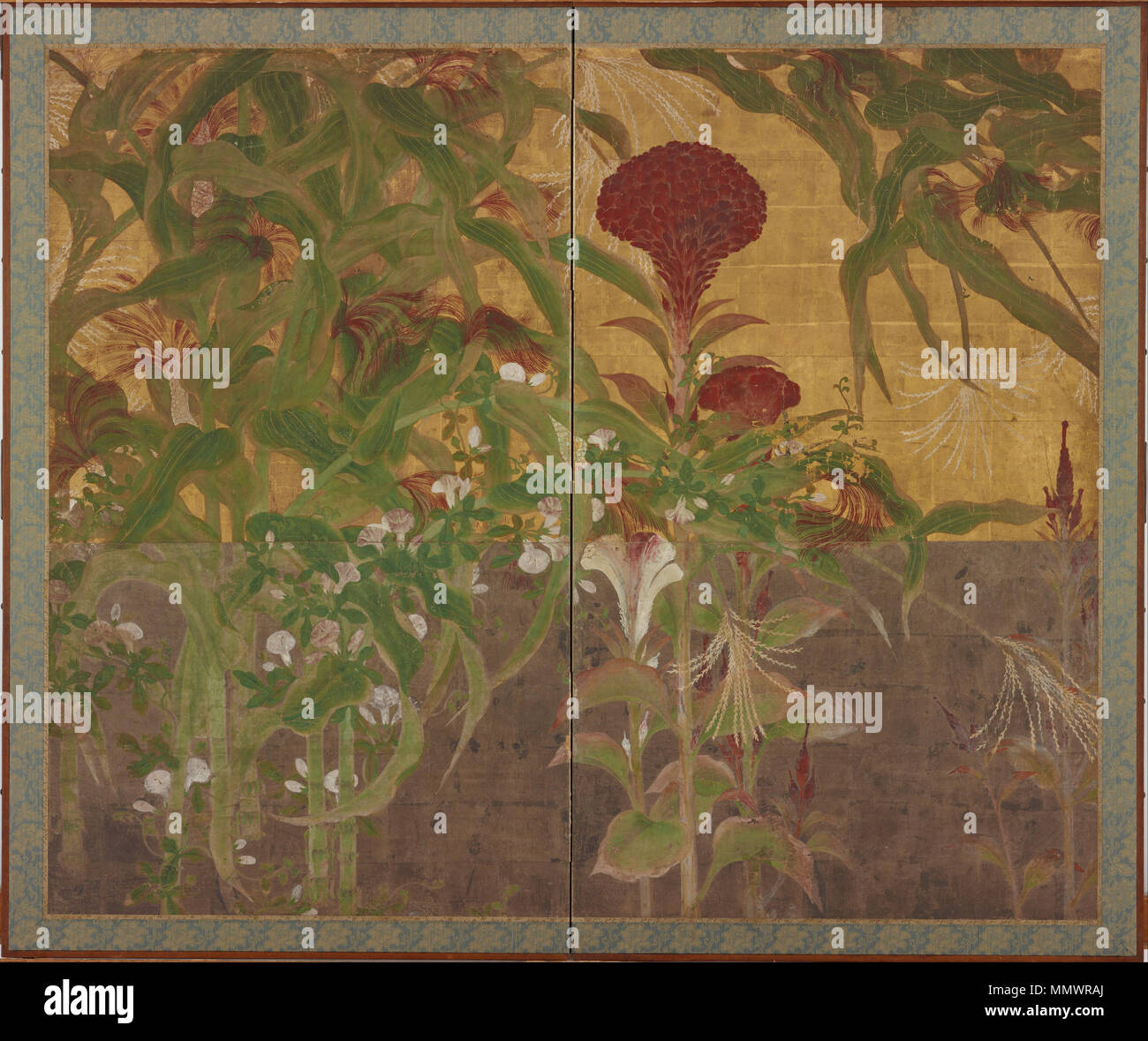 Coxcombs hi-res stock photography and images - Alamy