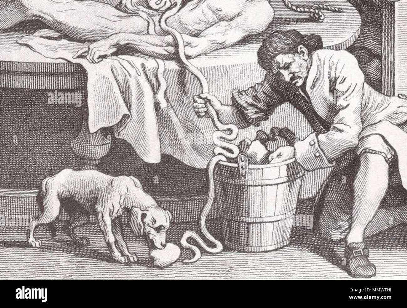 The four stages of cruelty hi-res stock photography and images - Alamy