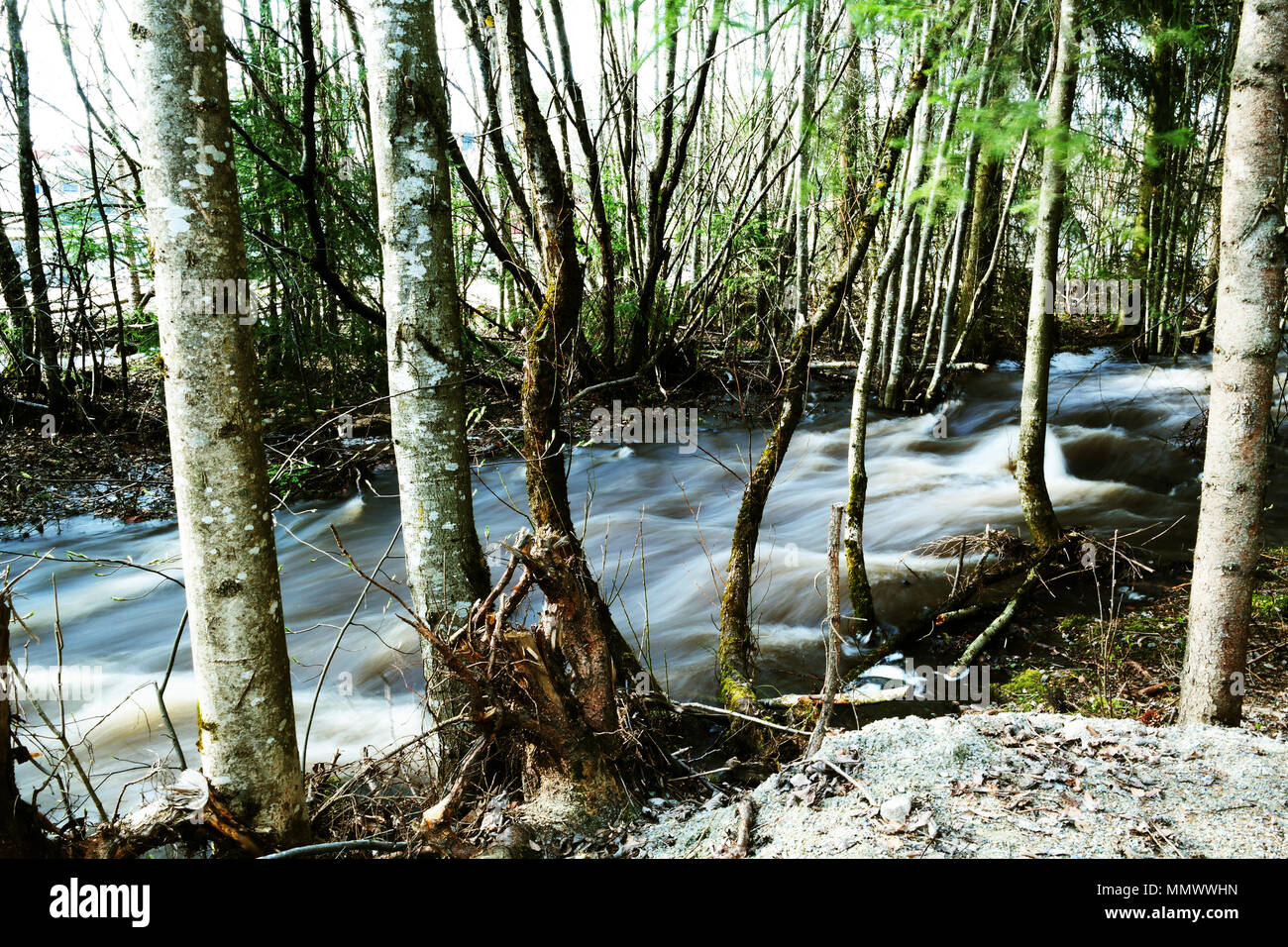 Beautiful Mother Earth in the spring Stock Photo - Alamy