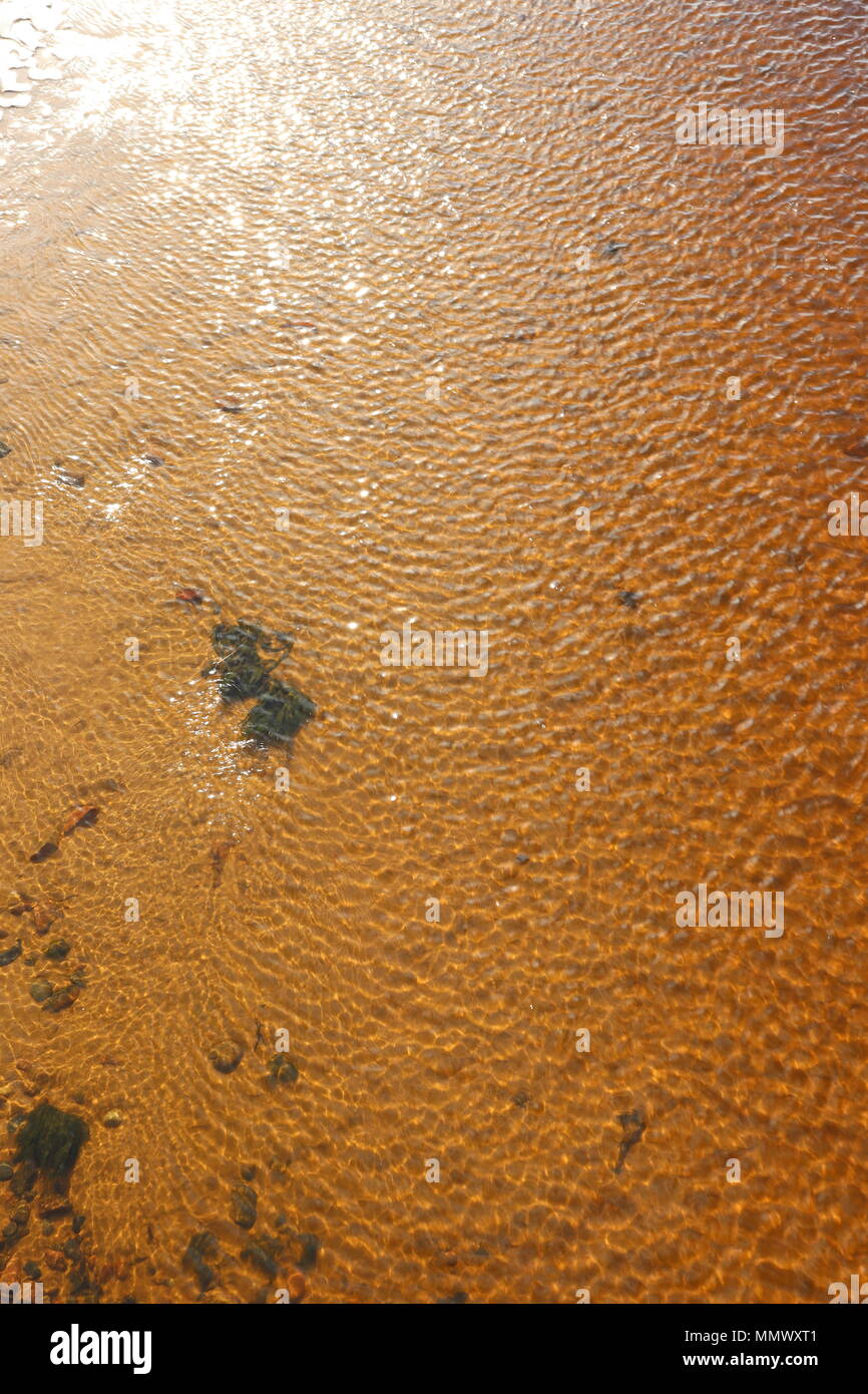 Close up of sand, seaweed, pebbles and ripples in river Stock Photo - Alamy