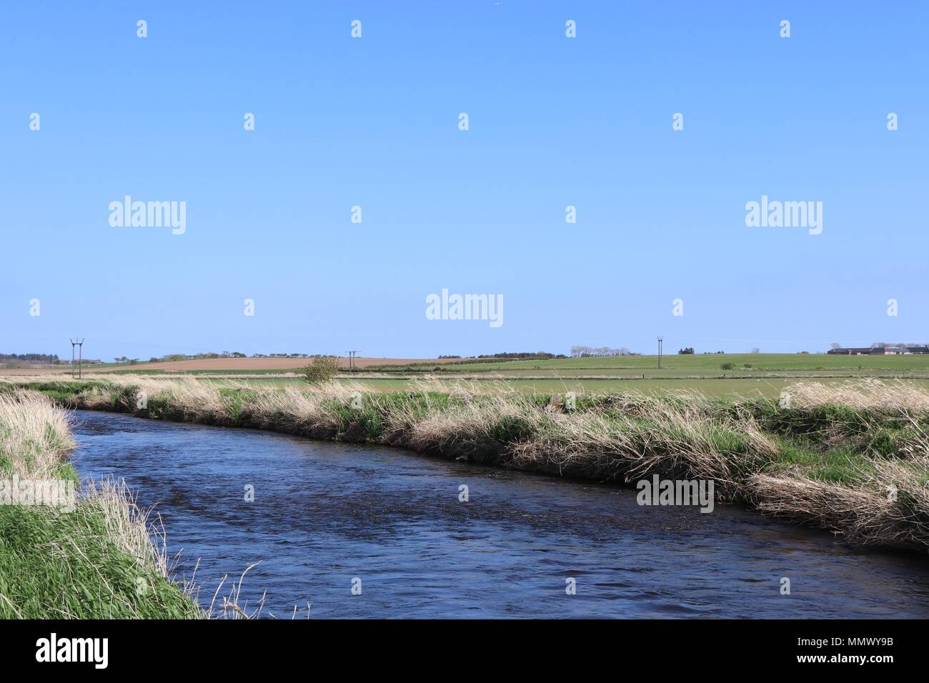 River flowing through fields Stock Photo - Alamy