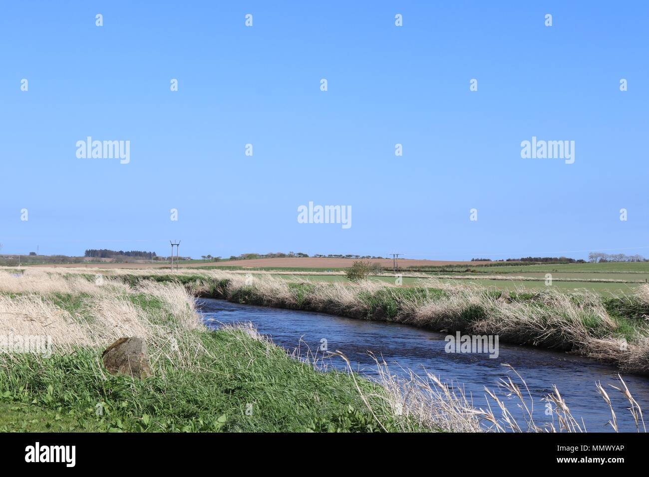 River flowing through fields Stock Photo - Alamy
