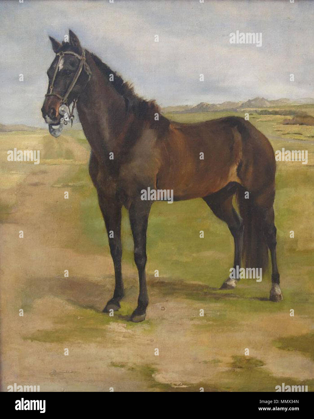 Spanish: Caballo Horse. circa 1890. Diogenes Hequet - Caballo Stock ...