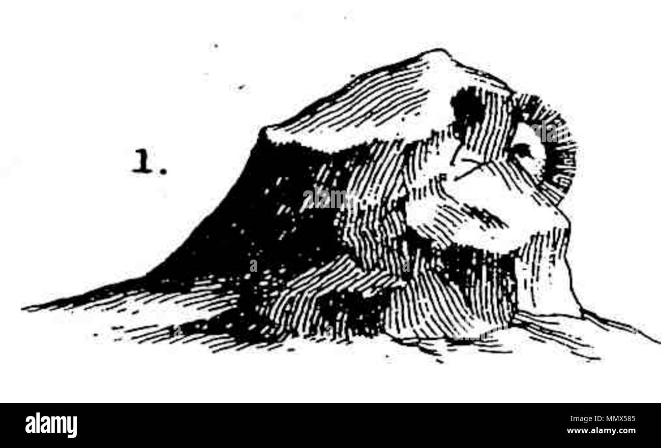 . English: Robert Plot made a woodcut showing a double sunset at Leek ...