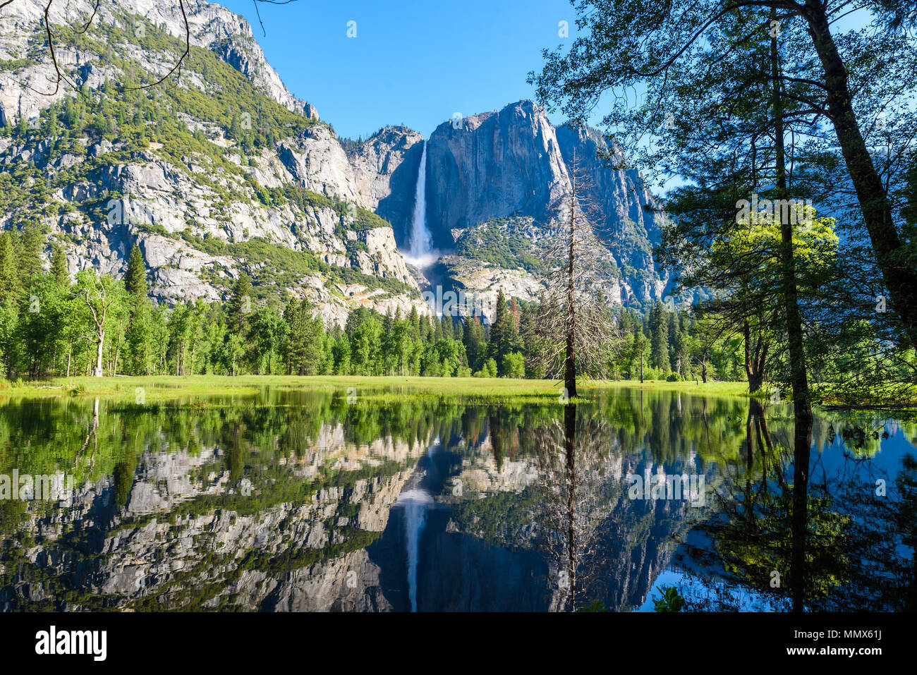 Yosemite National Park - Reflection in Merced River of Yosemite waterfalls and beautiful ...