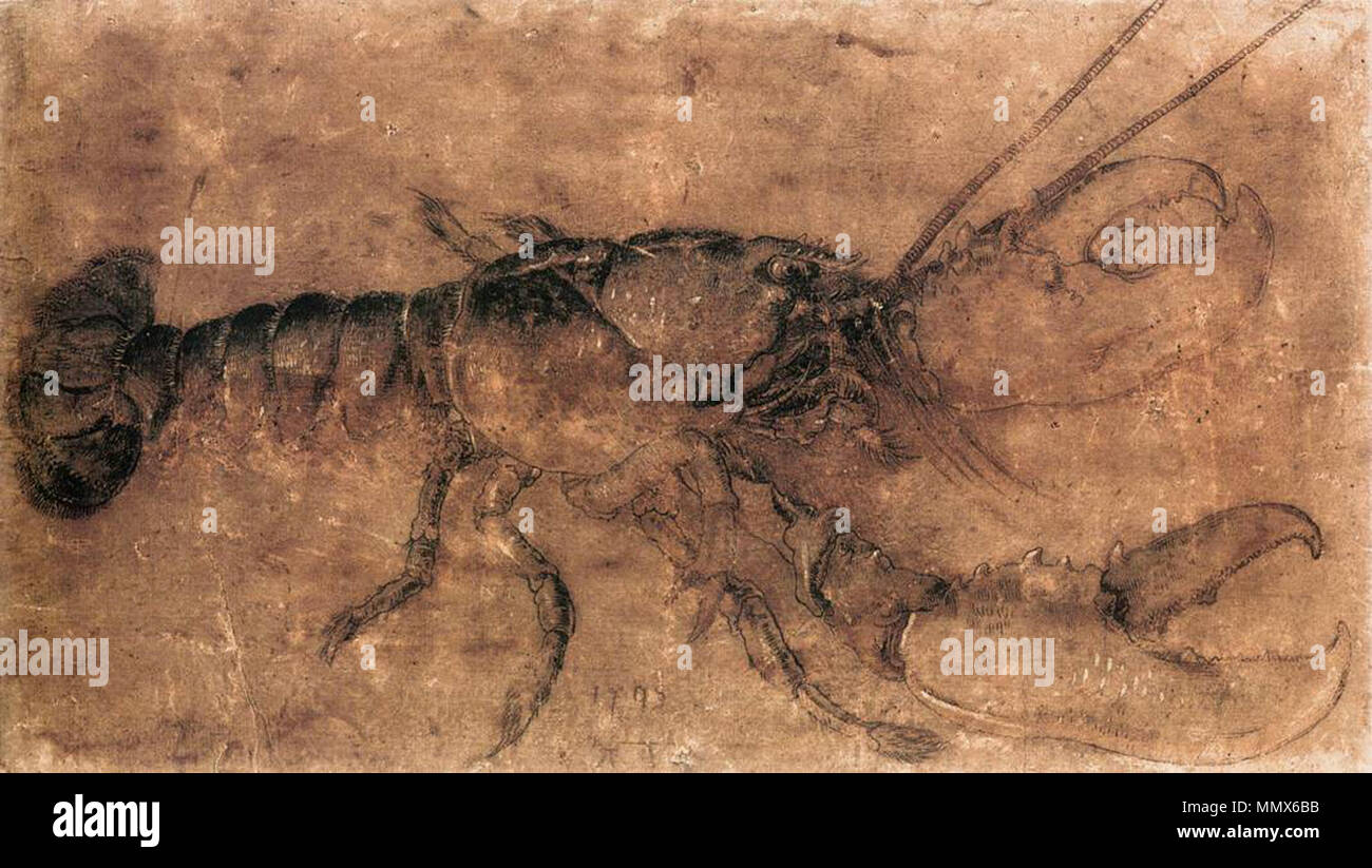 English: Lobster . 1495. Durer-homard Stock Photo - Alamy