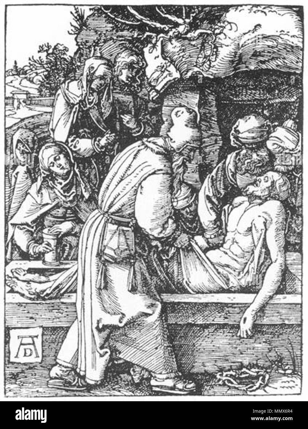 Small passion durer hi-res stock photography and images - Alamy