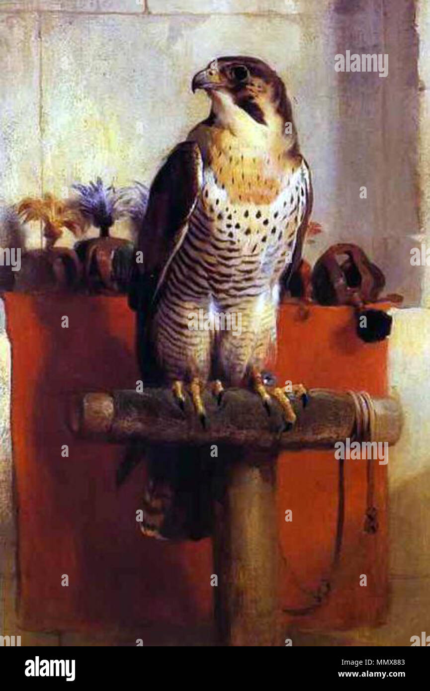 Falcon. 1837. Edwin Landseer. Falcon Stock Photo - Alamy