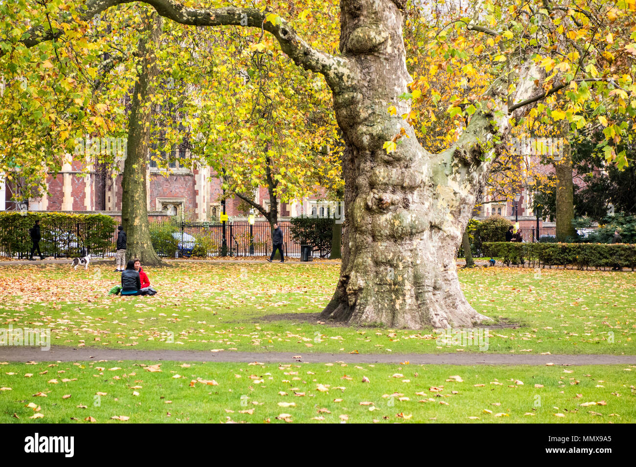 Lincolns inn fields fall hi-res stock photography and images - Alamy