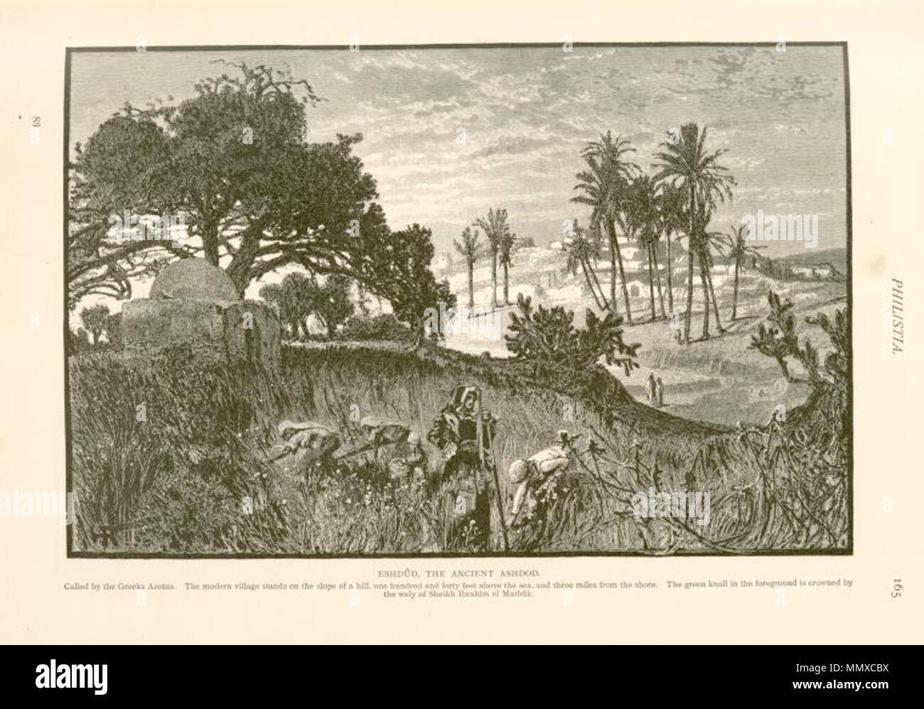 Eshdûd, the ancient Ashdod. Called by the Greeks Azotus (1881-1884 ...