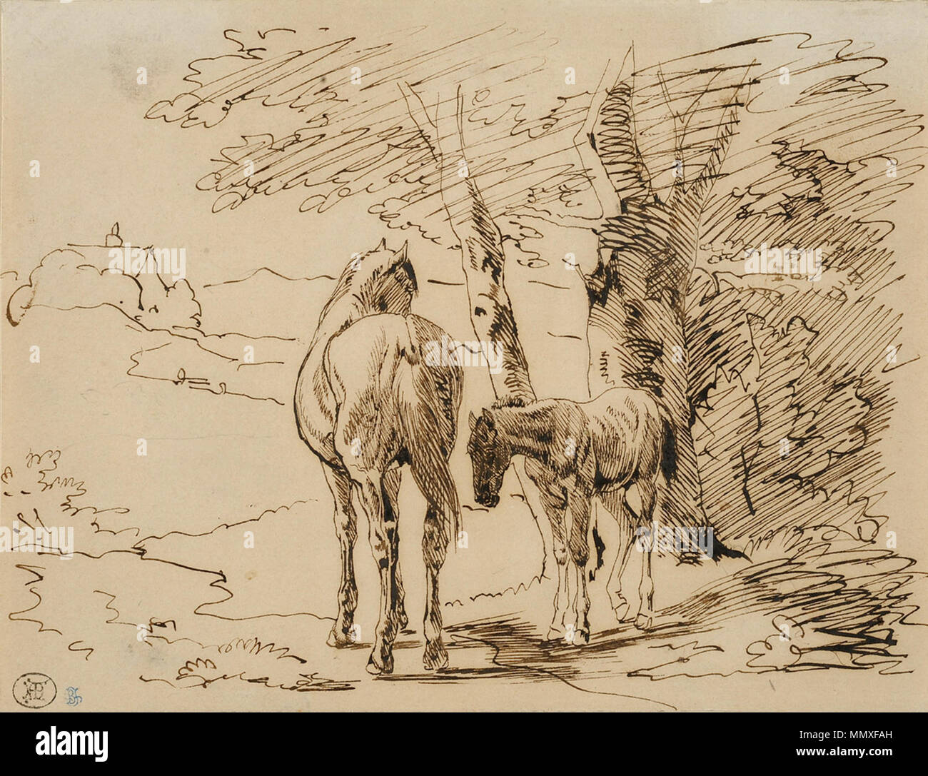 Stute mit fohlen hi-res stock photography and images - Alamy