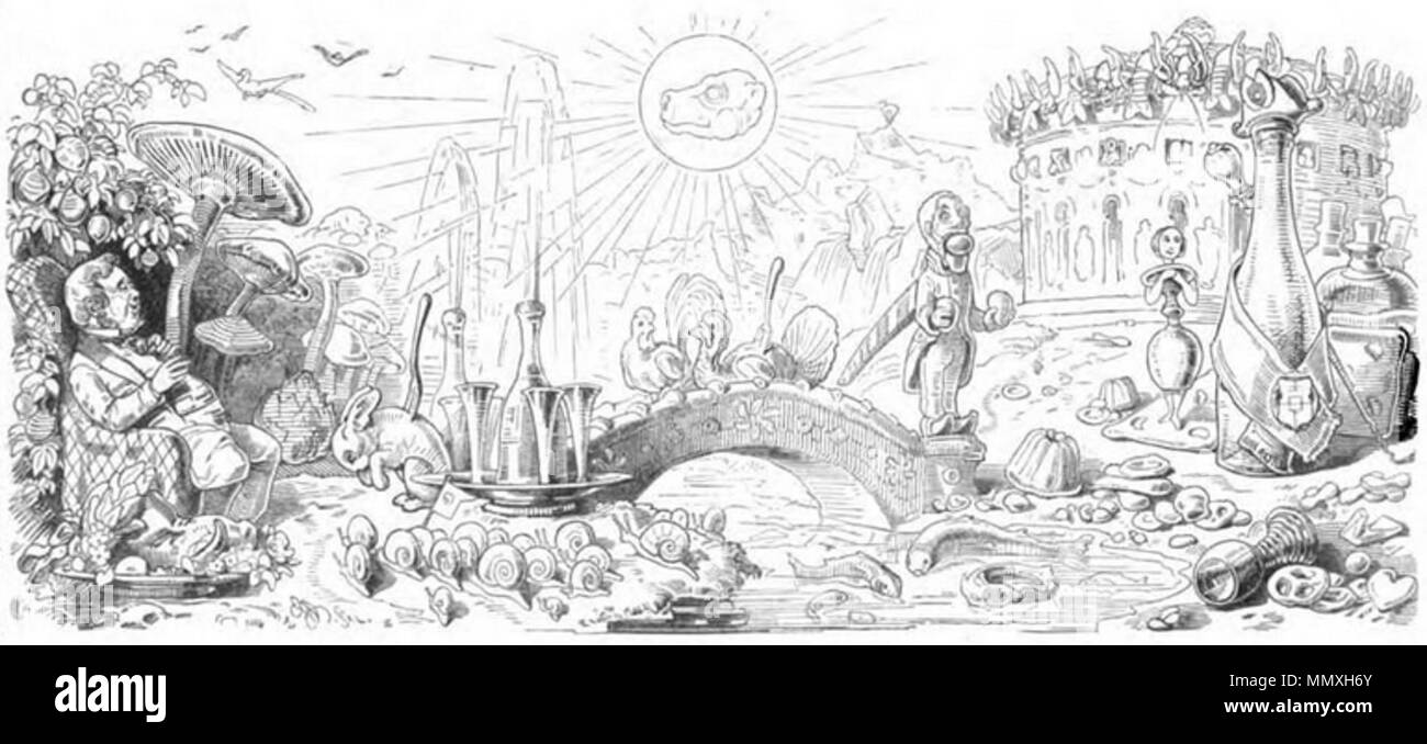 33 blätter hi-res stock photography and images - Alamy