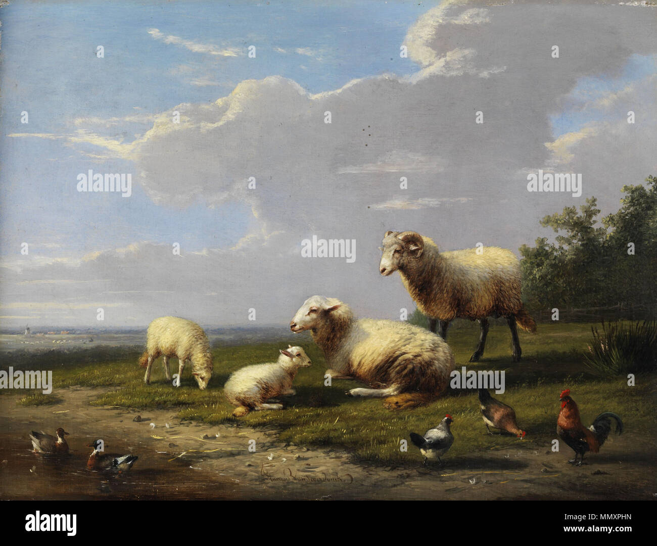 Schafen hi-res stock photography and images - Alamy