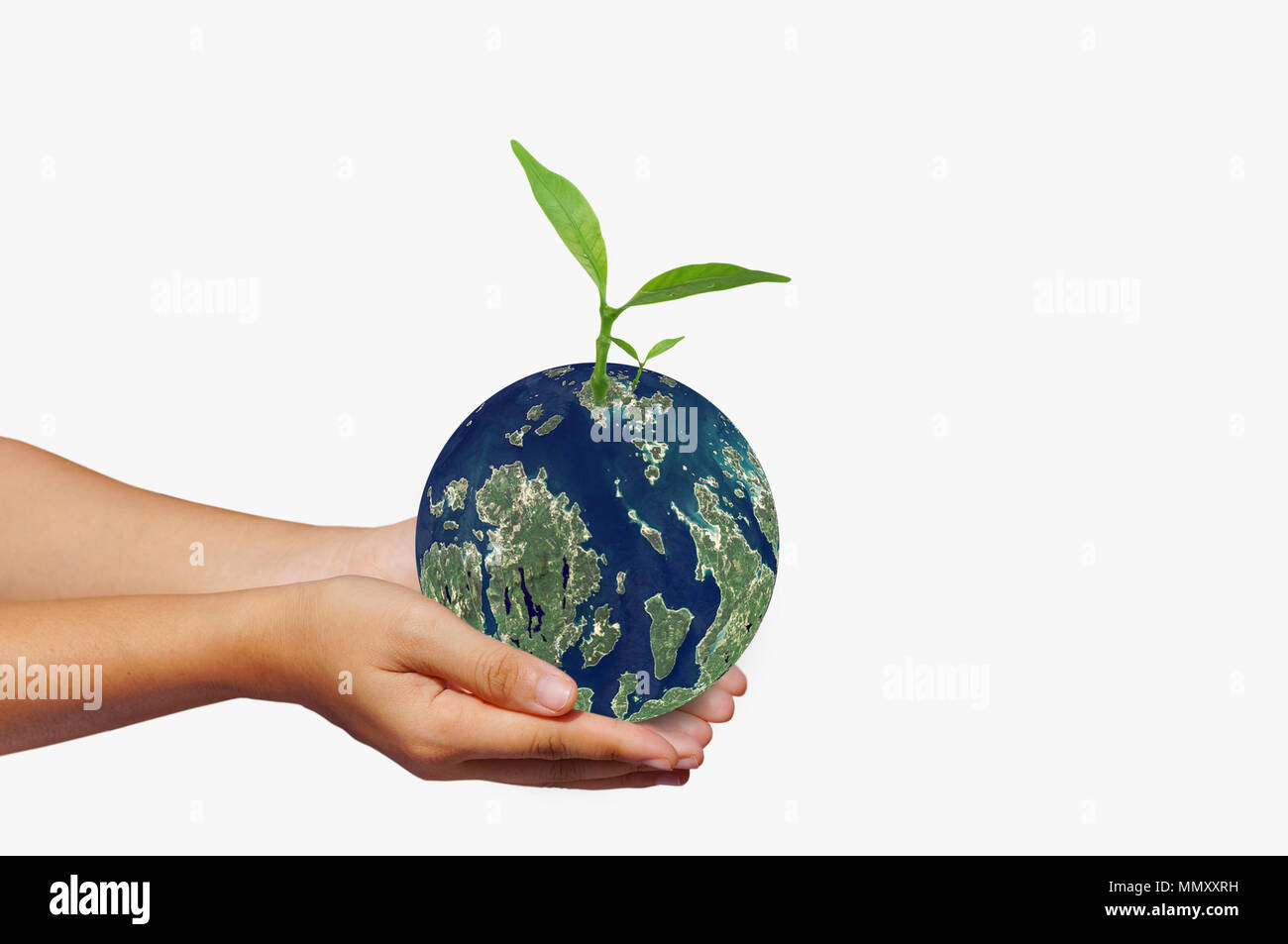 Holding earth globe tree in hi-res stock photography and images - Alamy