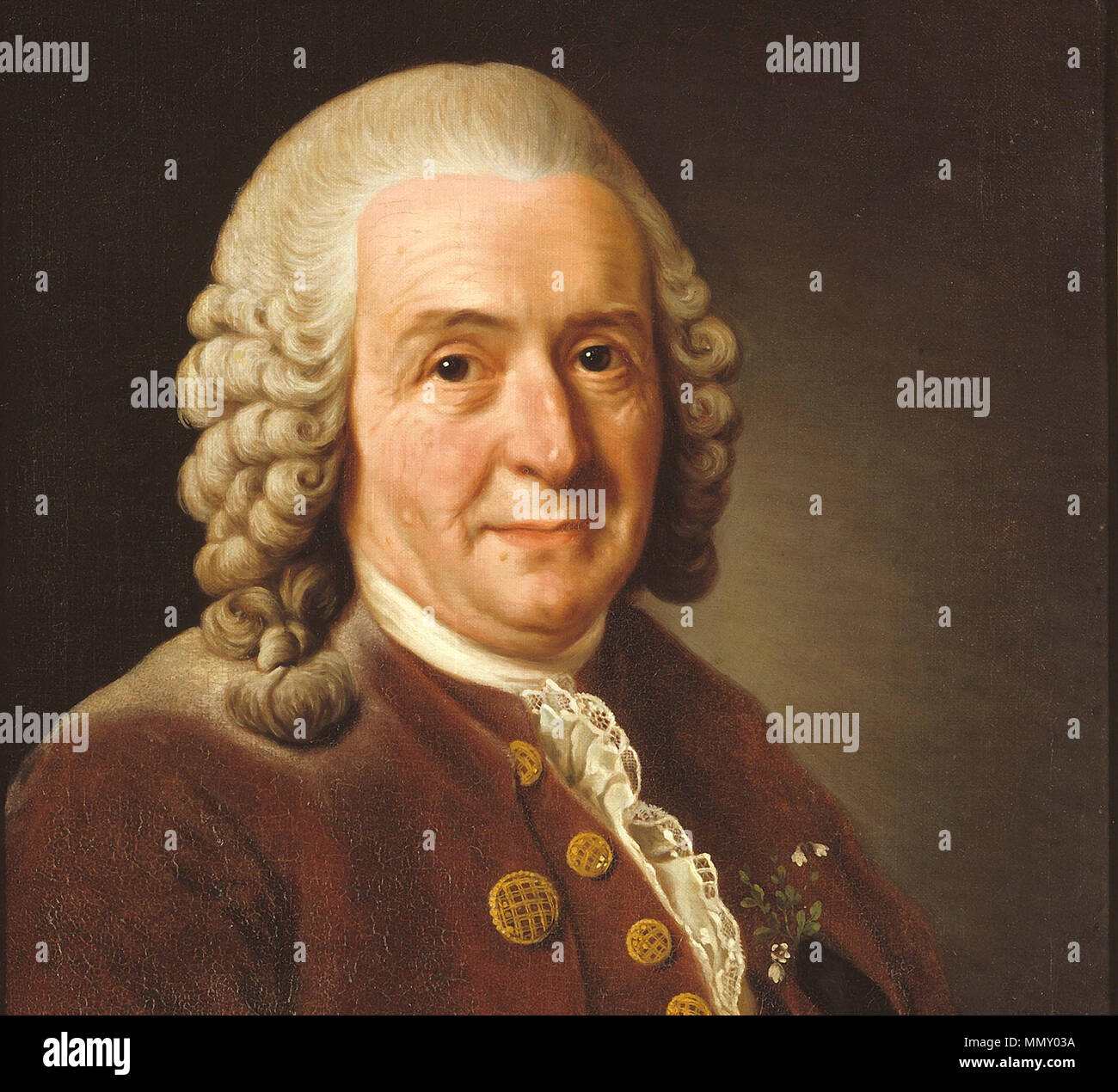 Carl linnaeus carl von linne swedish botanist hi-res stock photography ...