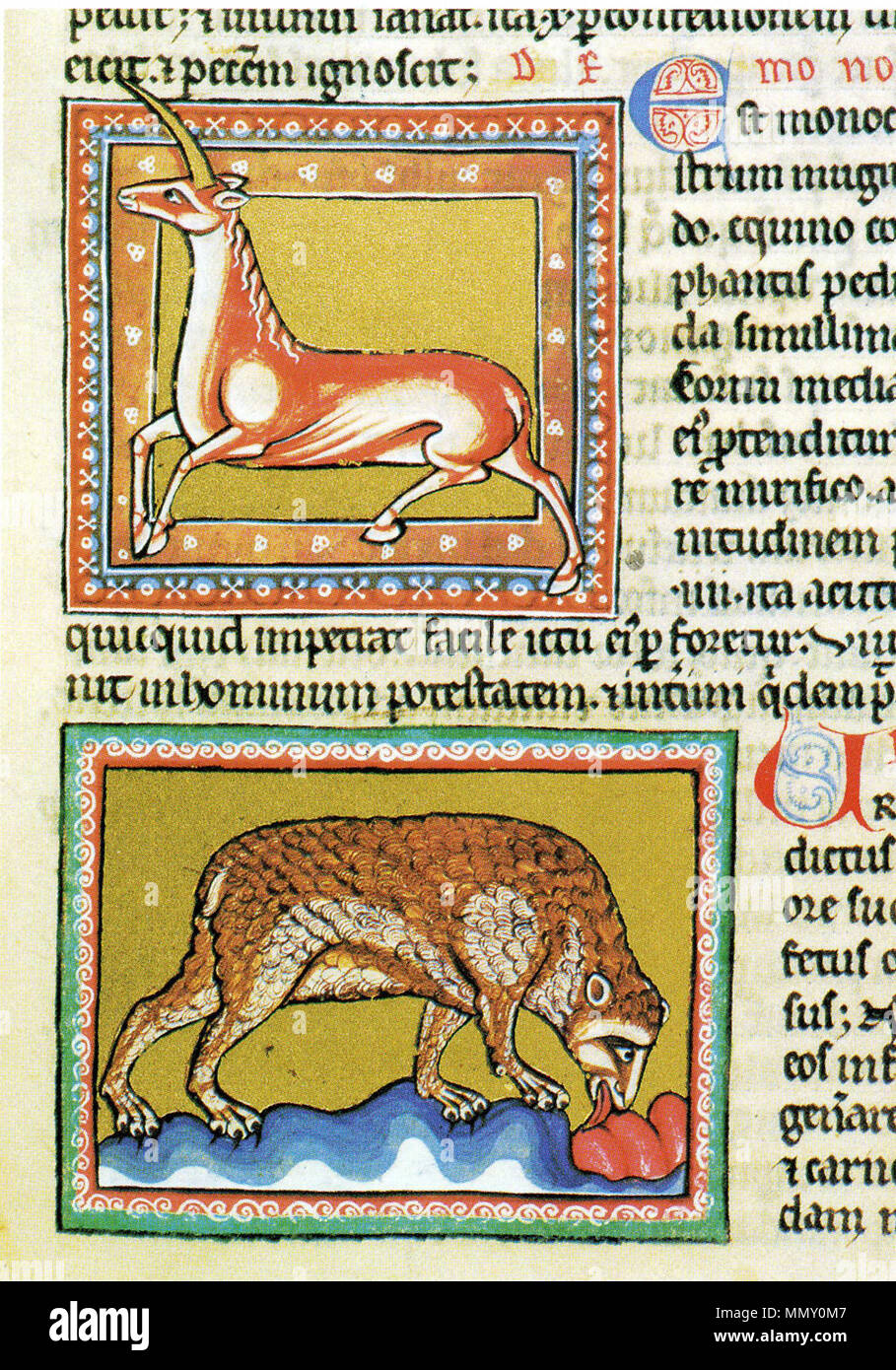 Ashmole bestiary hi-res stock photography and images - Alamy