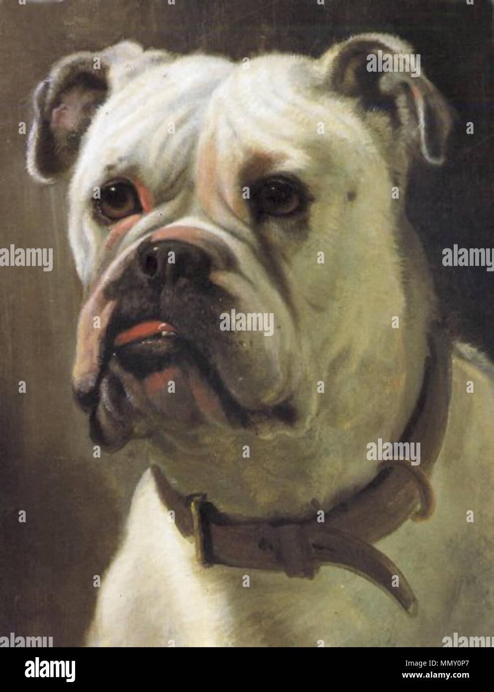 Michael The Archangel (English Bulldog). 1870. George Earl - Michael ...