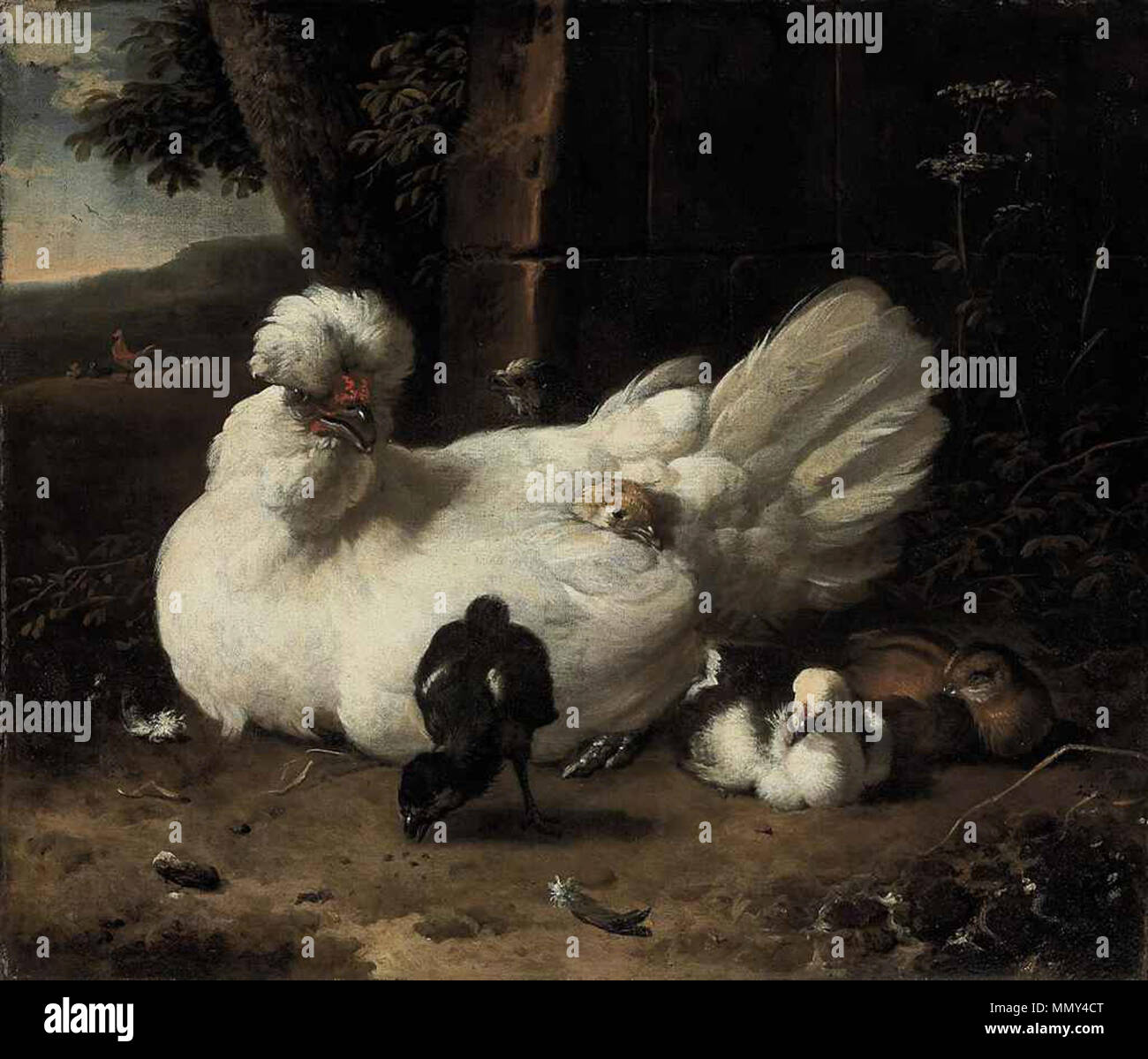 . English: A hen with chicks in a landscape A hen with chicks in a ...