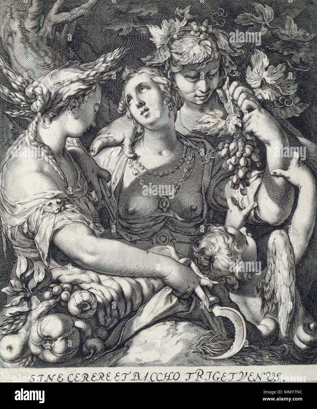 Venus grows cold hi-res stock photography and images - Alamy