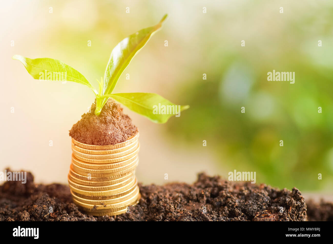 saving money, coin and small tree growing up concept in business ...