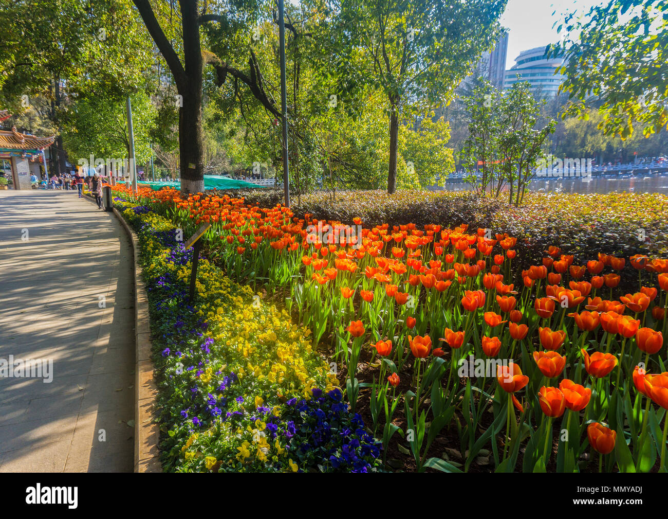 Beautiful kunming hi-res stock photography and images - Alamy