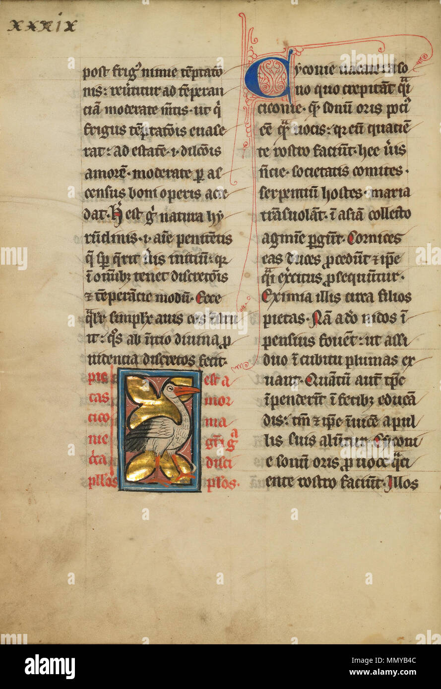 Stork artwork hi-res stock photography and images - Alamy