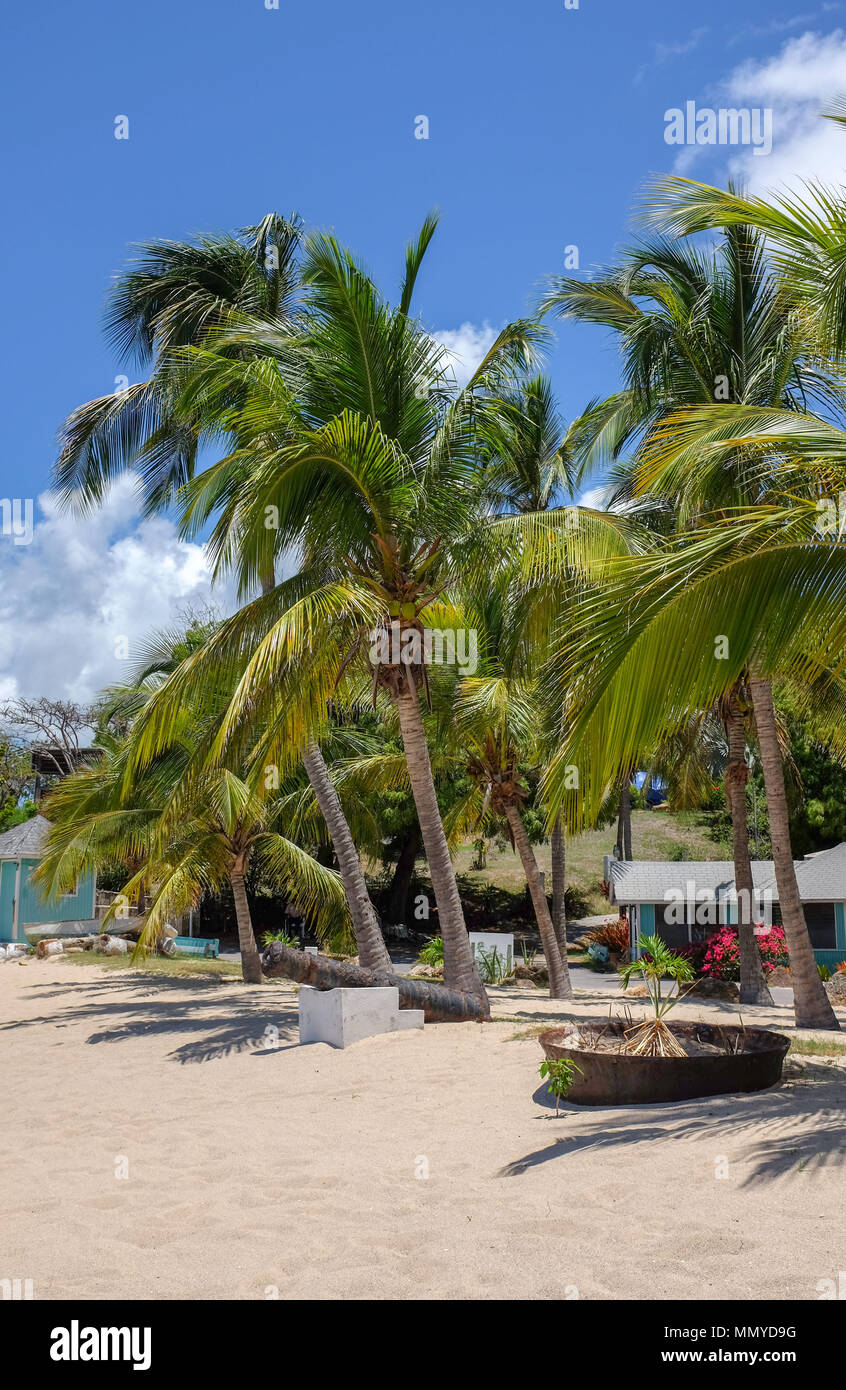 Antigua Lesser Antilles islands in the Caribbean West Indies ...