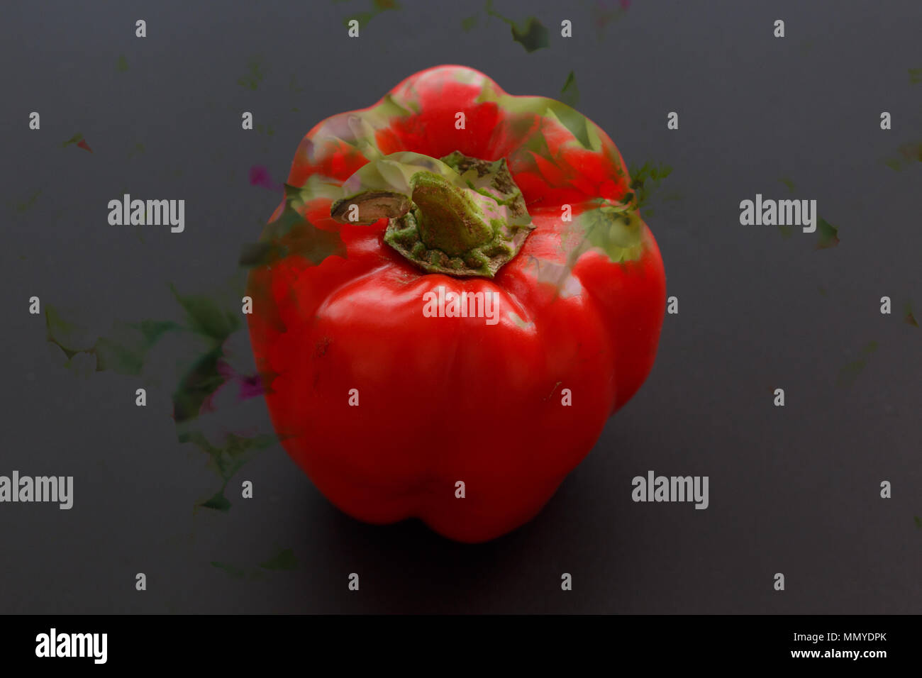 A red lantern pepper is on a black background Stock Photo - Alamy