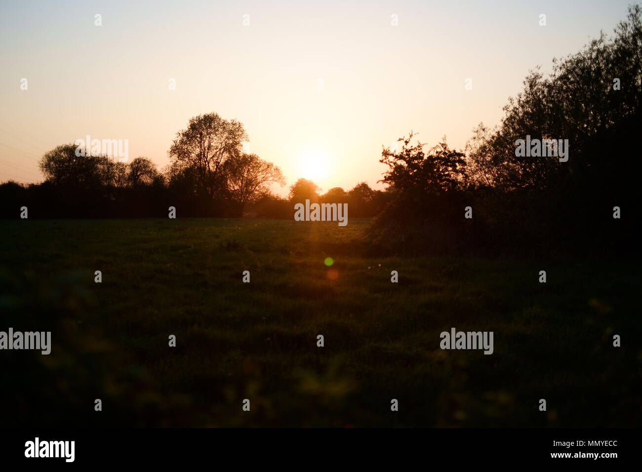 Spring sunet hi-res stock photography and images - Alamy