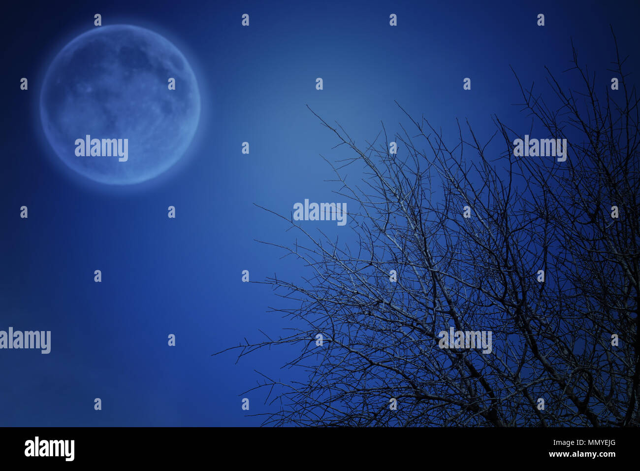 Surreal fantasy concept - full moon and tree branches in night skies ...