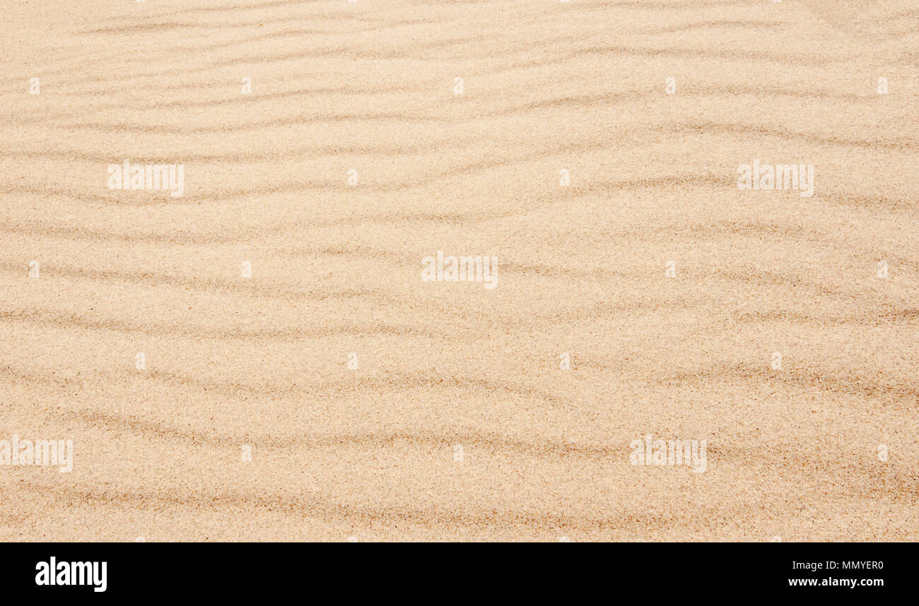 High resolution photo of beach sand with a wind blown pattern, Great ...