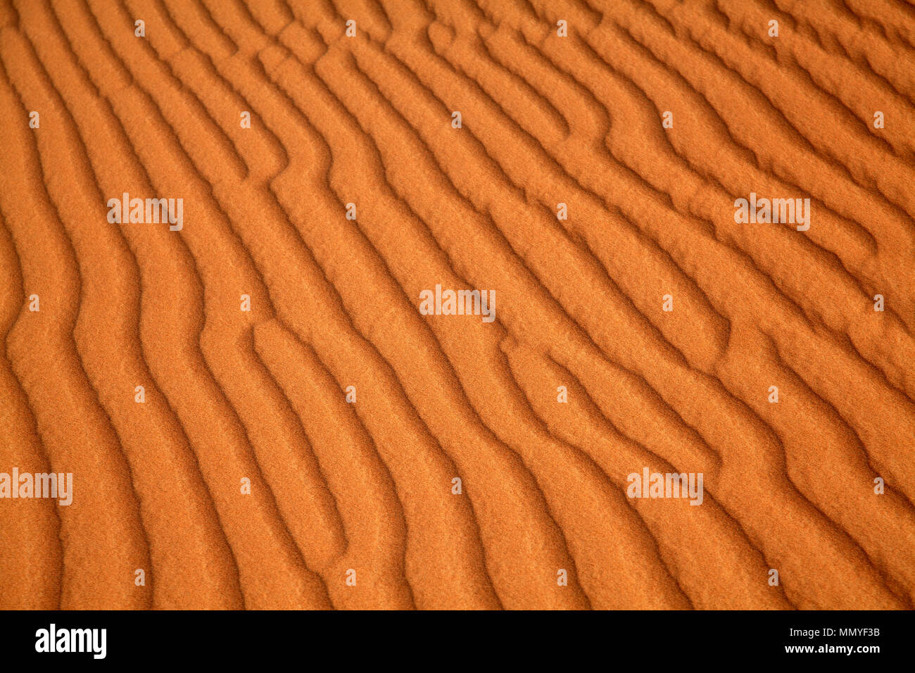 Red sand "Arabian desert" near Riyadh, Saudi Arabia Stock Photo - Alamy