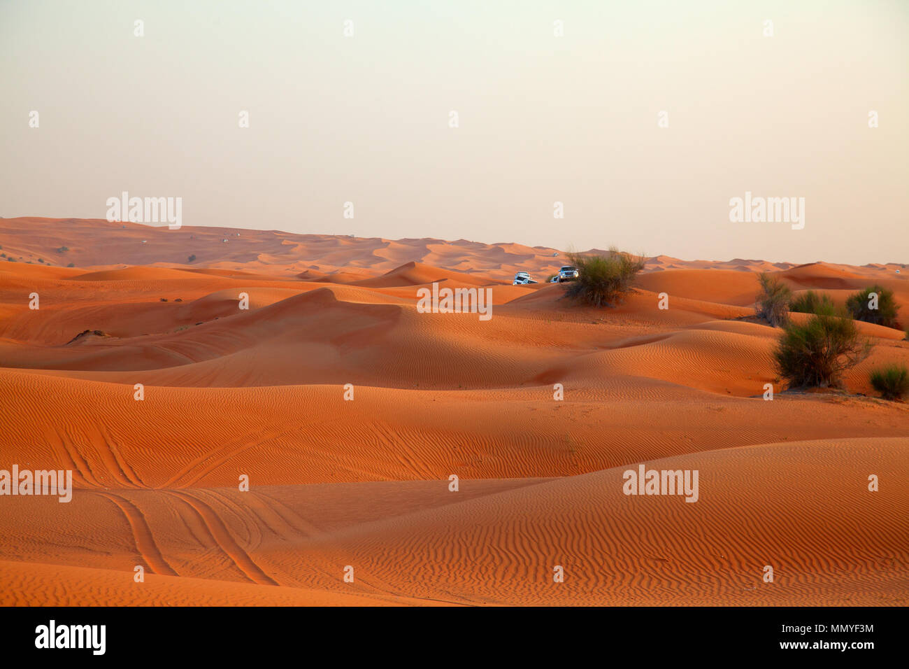 Red sand "Arabian desert" near Riyadh, Saudi Arabia Stock Photo - Alamy