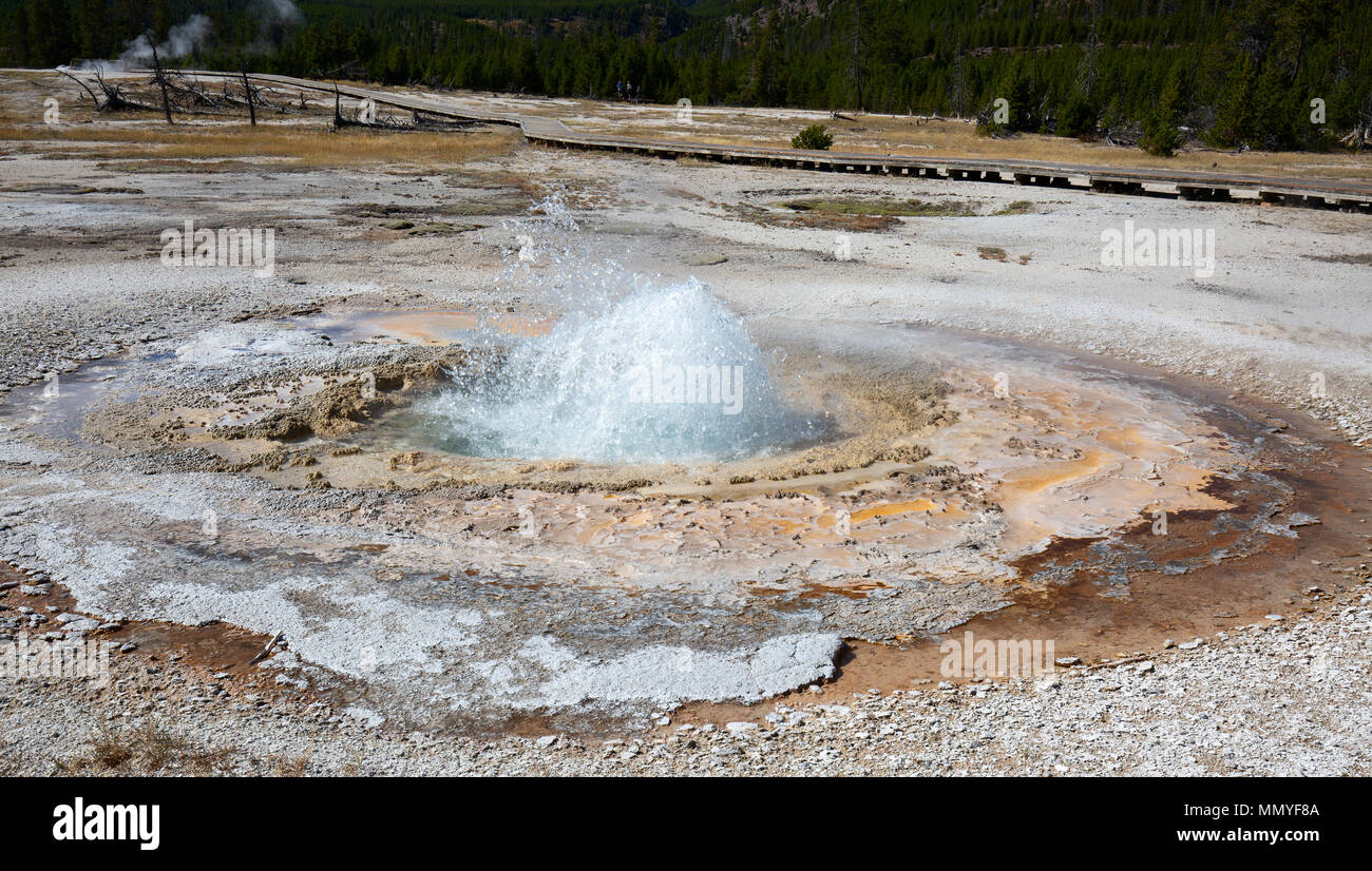 Geyser eruption in the Old faithful area of the Yellowstone national ...