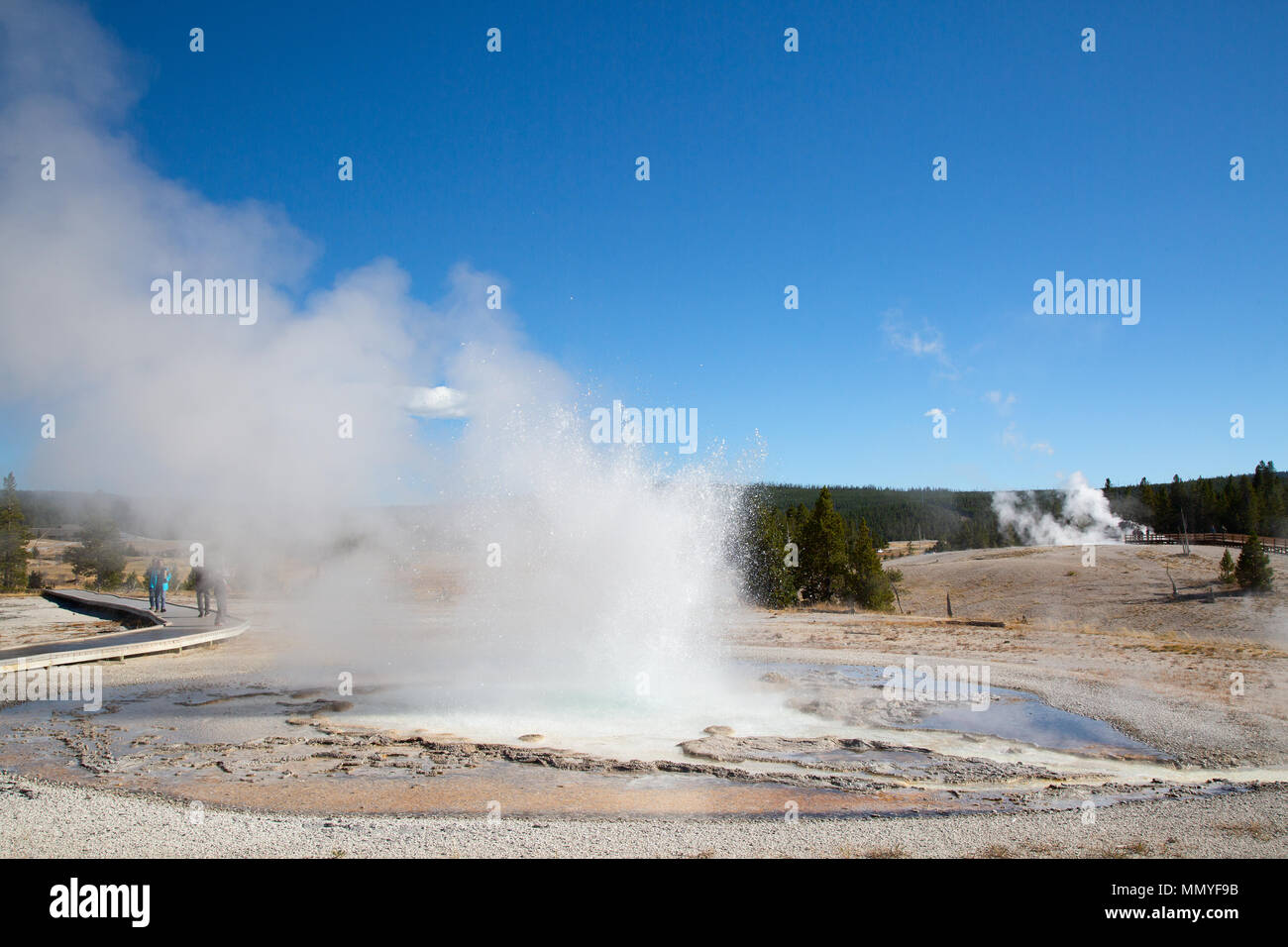 Geyser eruption in the Old faithful area of the Yellowstone national ...