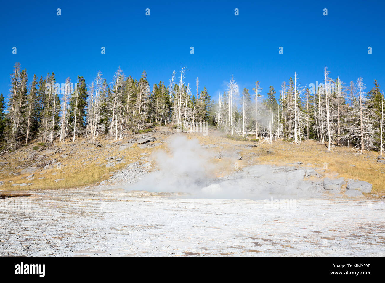 Geyser eruption in the Old faithful area of the Yellowstone national ...