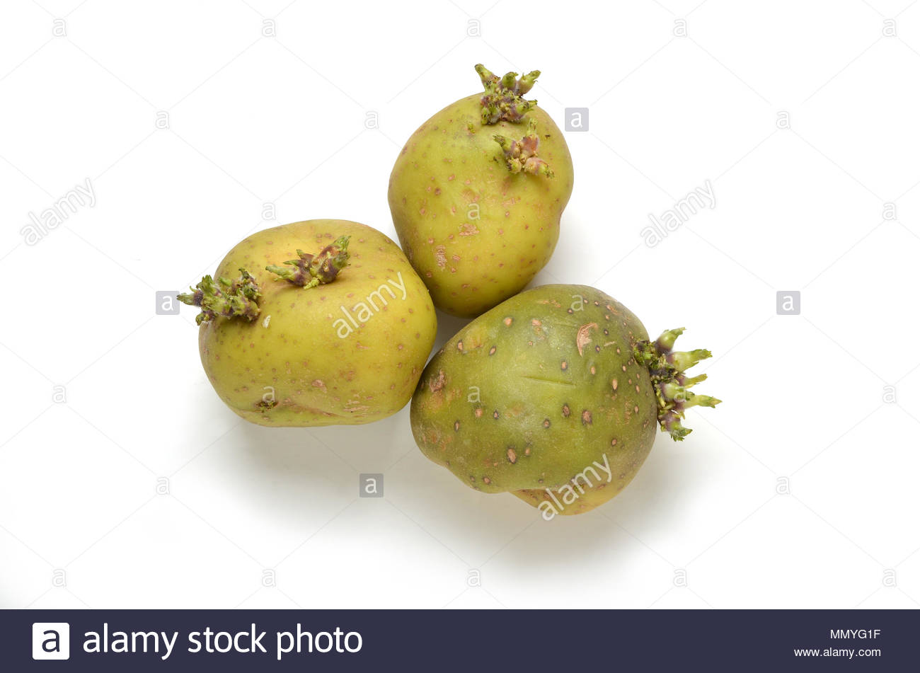 Rotten Potatoes High Resolution Stock Photography and Images - Alamy