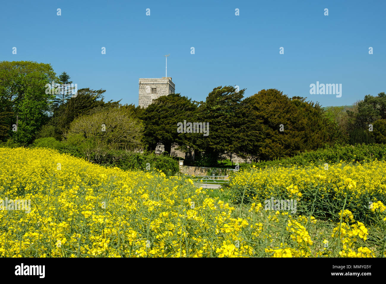 Steeple dorset hi-res stock photography and images - Alamy