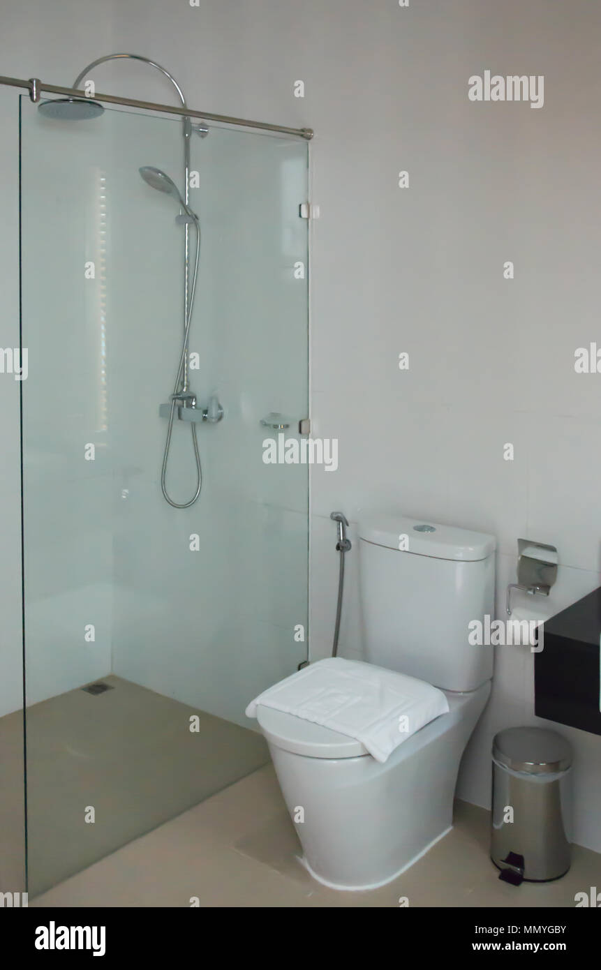 Modern interior bathroom shower Stock Photo - Alamy