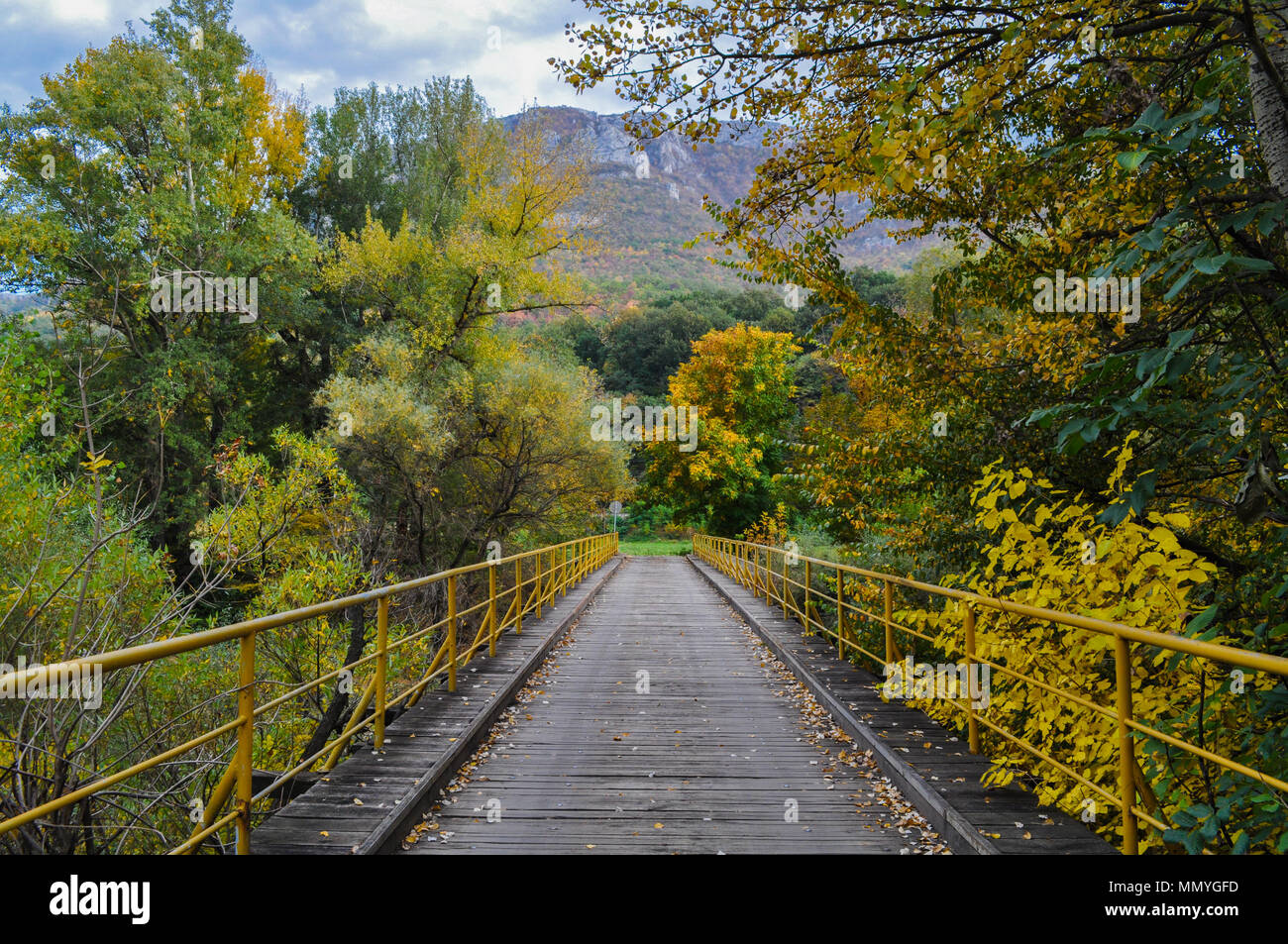 Outdoor autumn scene hi-res stock photography and images - Alamy