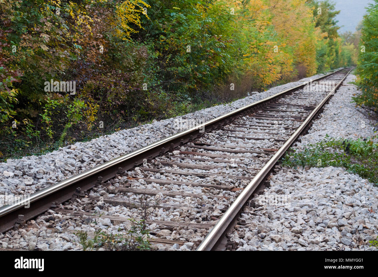 Railway middle of forest hi-res stock photography and images - Alamy