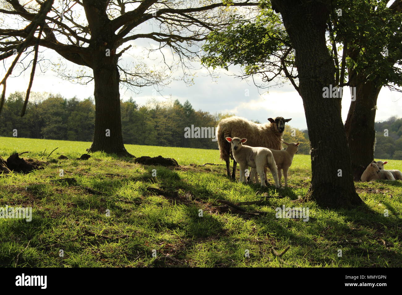 Take shade hi-res stock photography and images - Alamy
