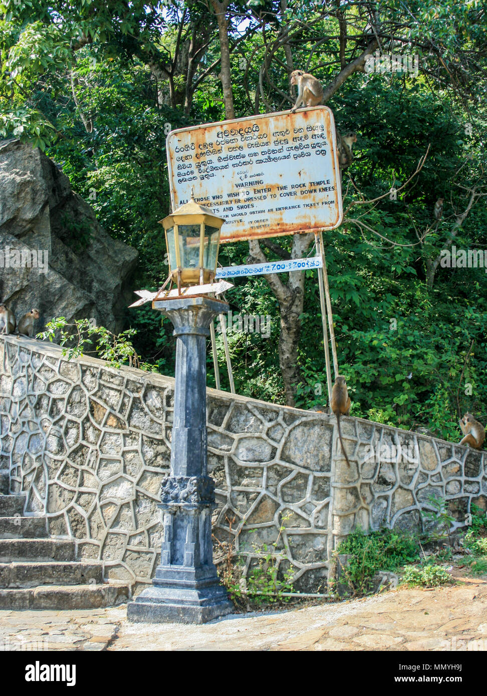 Dambulla caves monkey hi-res stock photography and images - Alamy