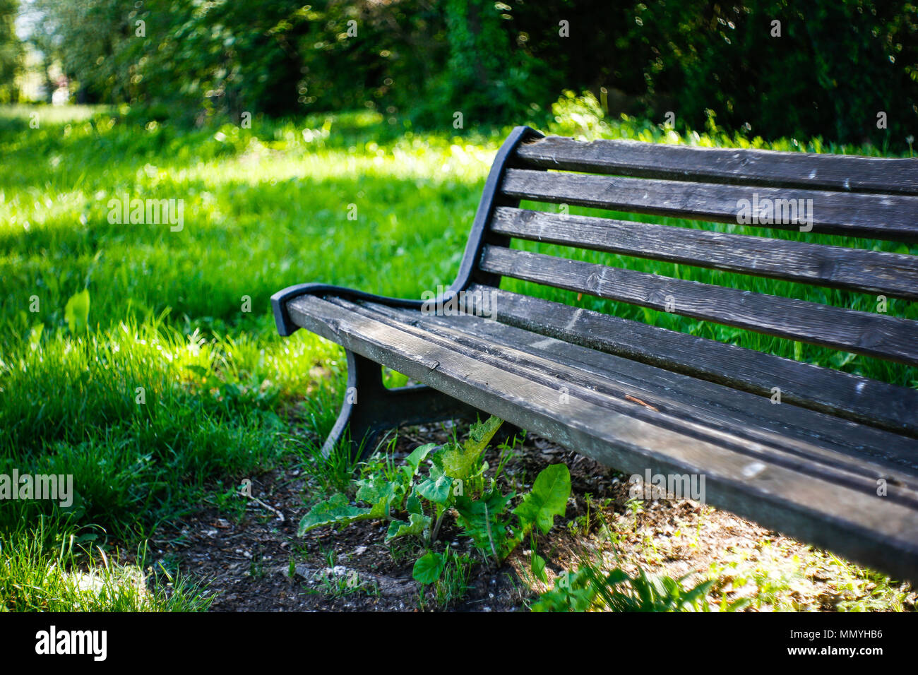 bench in the garden in spring Stock Photo - Alamy