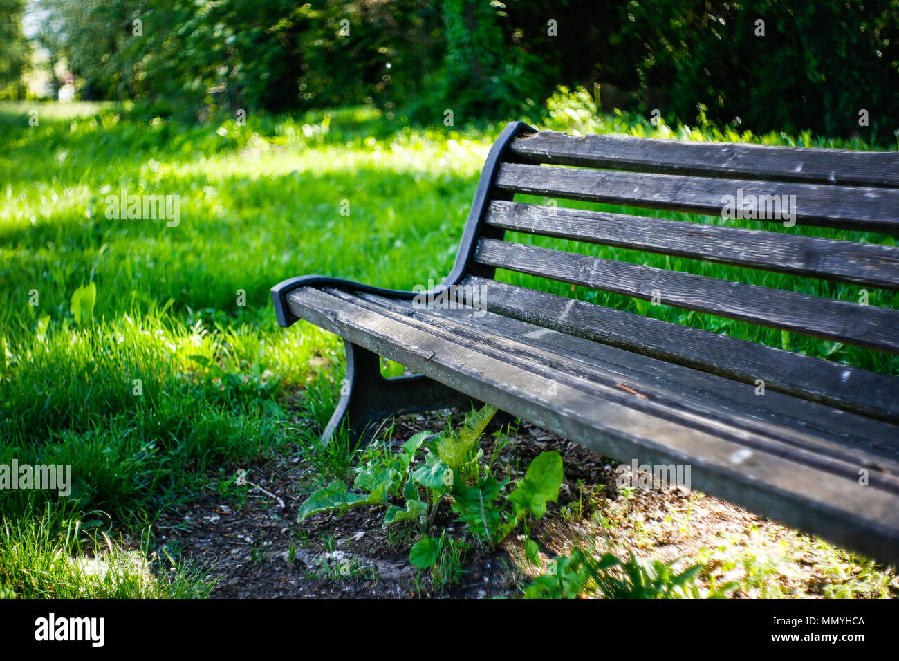 Wooden bench in colorful garden hi-res stock photography and images - Alamy
