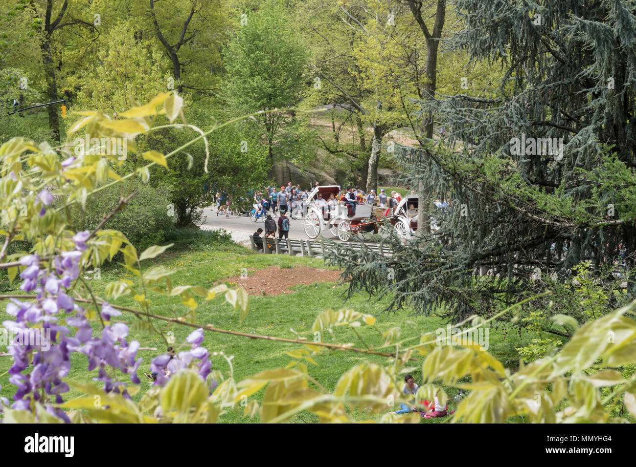 New Yorkers ask tourists enjoy the Spring Weather along the East Drive ...